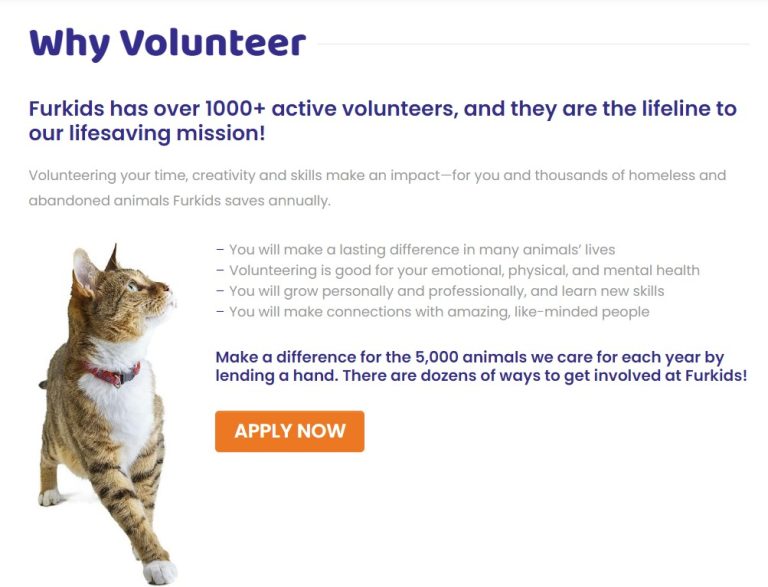 How to Create a Compelling and Shareable Volunteer Website - re: charity